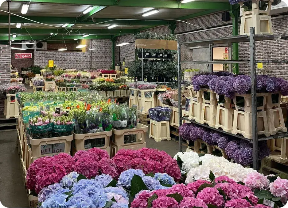 Global Flower, Plant & Sundries Supplier